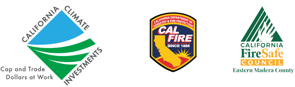 Newsletter: Stay Informed with EMCFSC & CAL Fire News & Updates